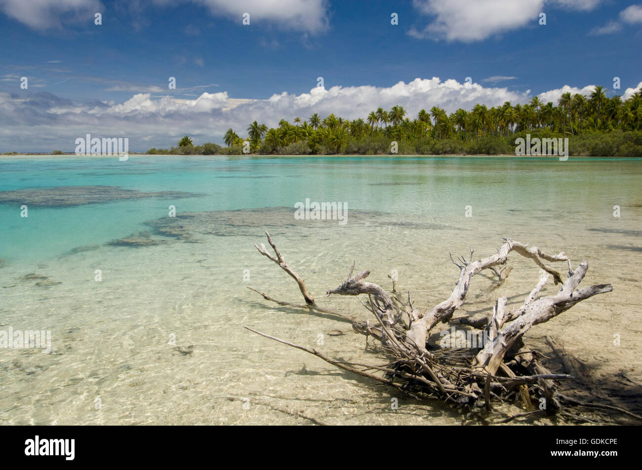 Farea hi-res stock photography and images - Alamy