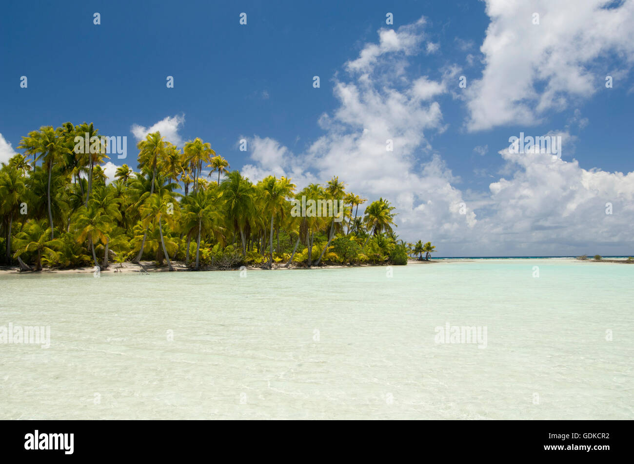 Blue Lagoon, Rangiroa atoll, Tuamotu Archipelago, French Polynesia ...