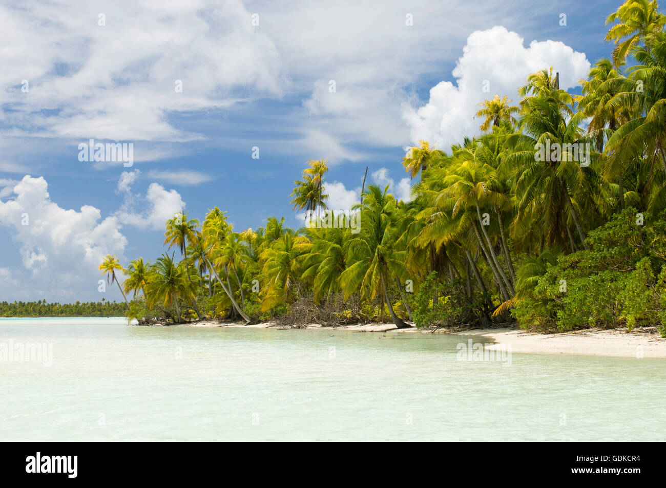 Blue Lagoon, Rangiroa atoll, Tuamotu Archipelago, French Polynesia ...