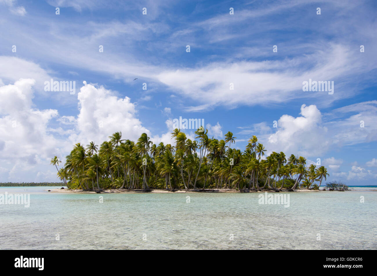 Blue Lagoon, Rangiroa atoll, Tuamotu Archipelago, French Polynesia ...