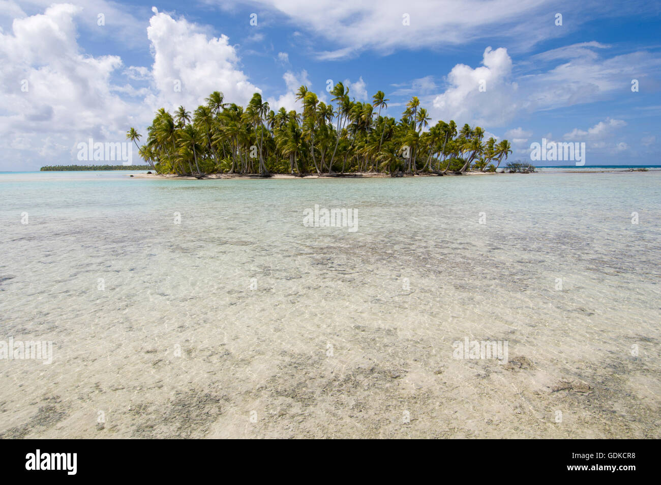 Blue Lagoon, Rangiroa atoll, Tuamotu Archipelago, French Polynesia ...