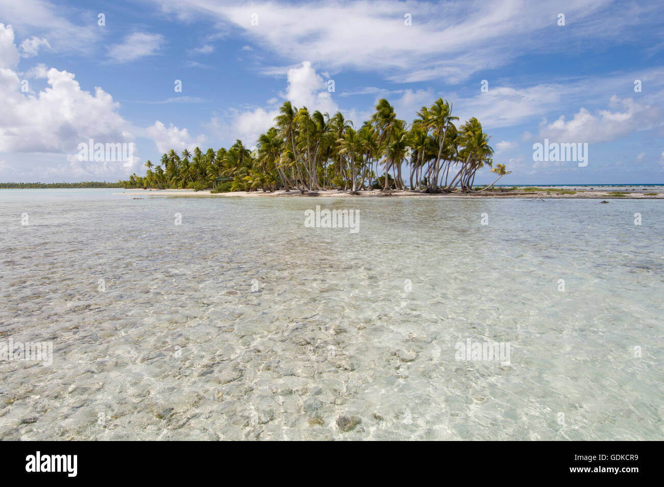 Blue Lagoon, Rangiroa atoll, Tuamotu Archipelago, French Polynesia ...