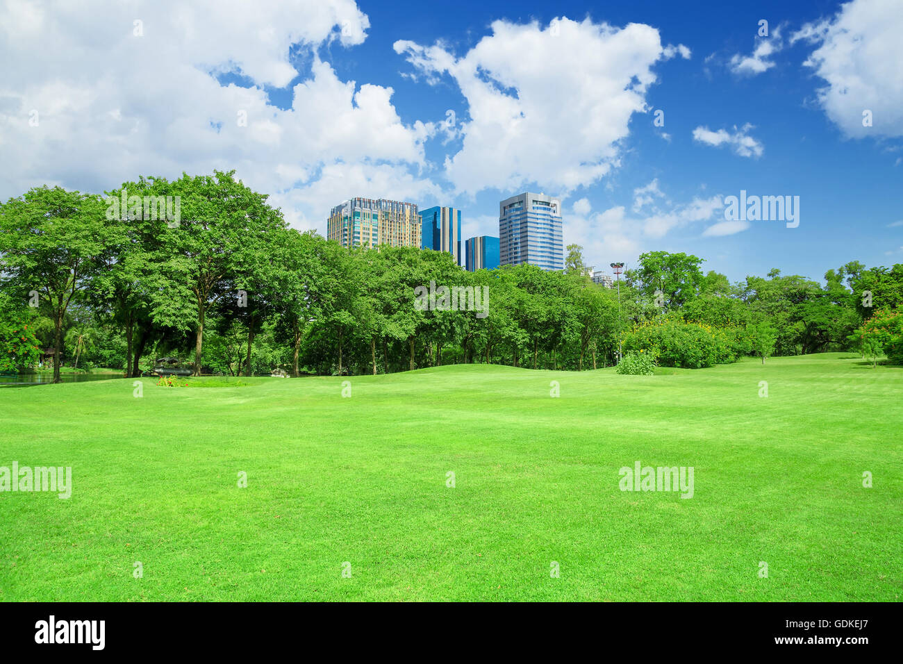 green grass field in big city park Stock Photo - Alamy