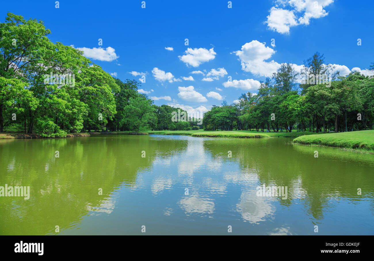 Green lake park in hi-res stock photography and images - Alamy