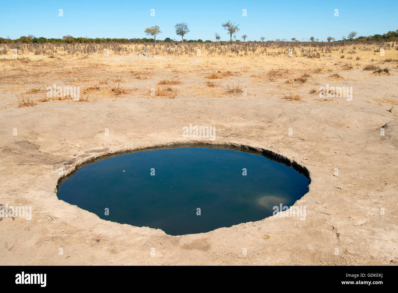 Africa water hole landscapes hi-res stock photography and images - Alamy