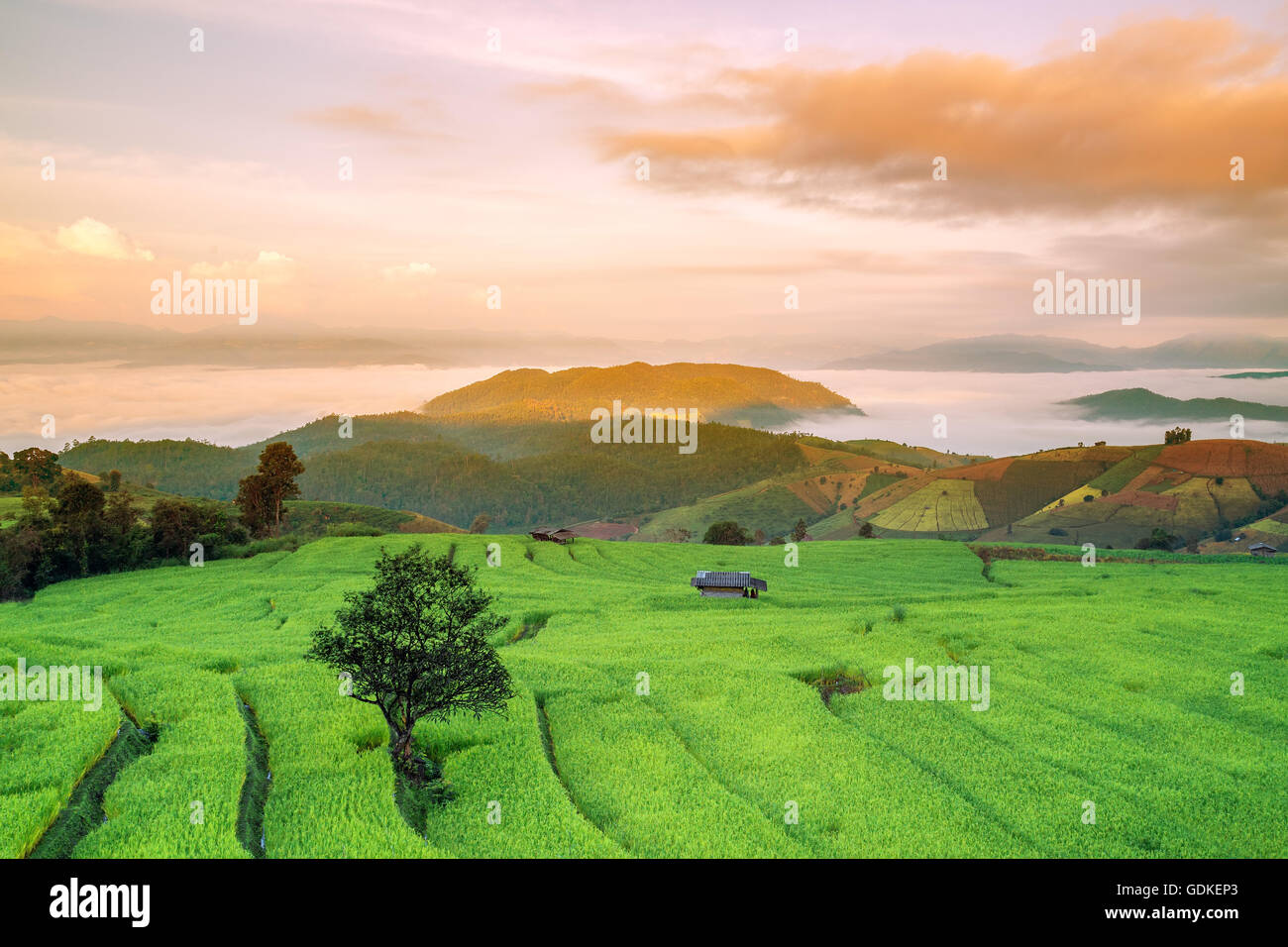 Stair Rice Field High Resolution Stock Photography and Images - Alamy