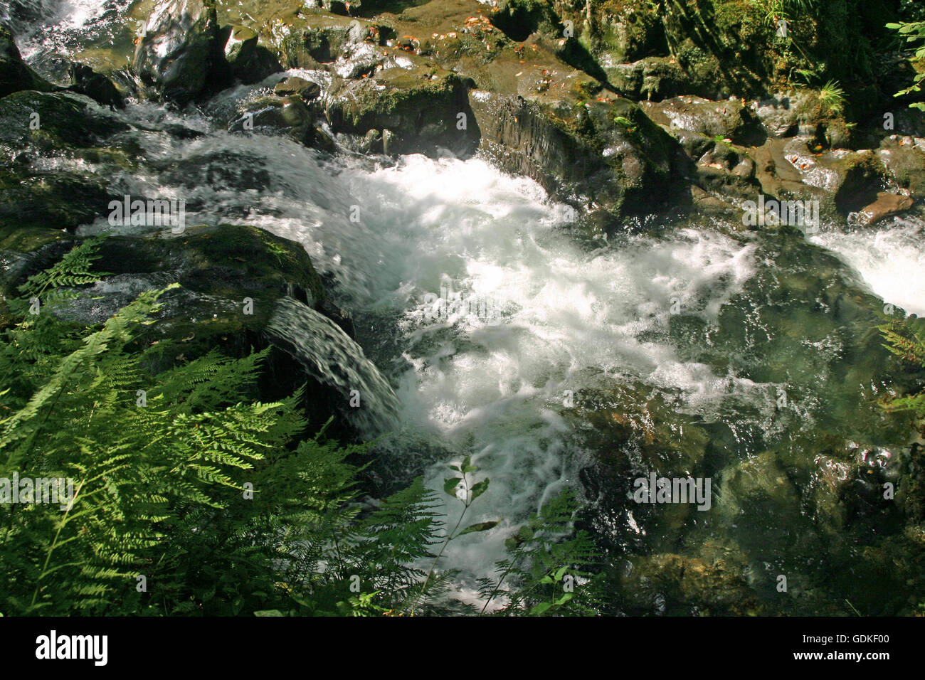 Looking down on river gorge waterfall Stock Photo - Alamy