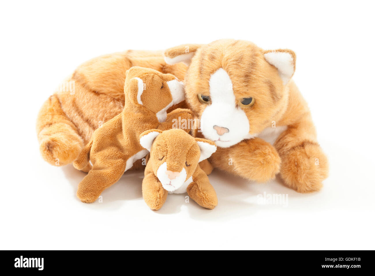 Stuffed animals cat family Stock Photo - Alamy