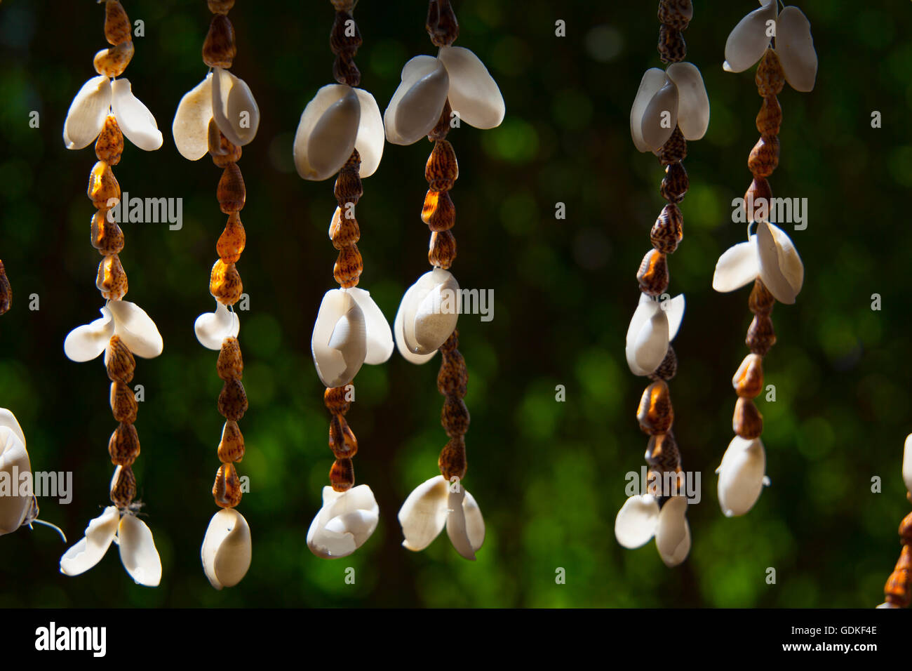 Sea shell handicrafts hi-res stock photography and images - Alamy