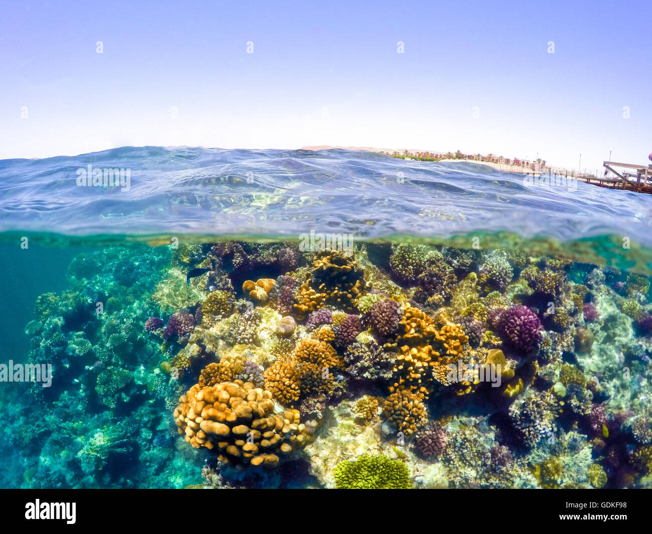Underwater and surface split view in the tropics paradise with fish and ...
