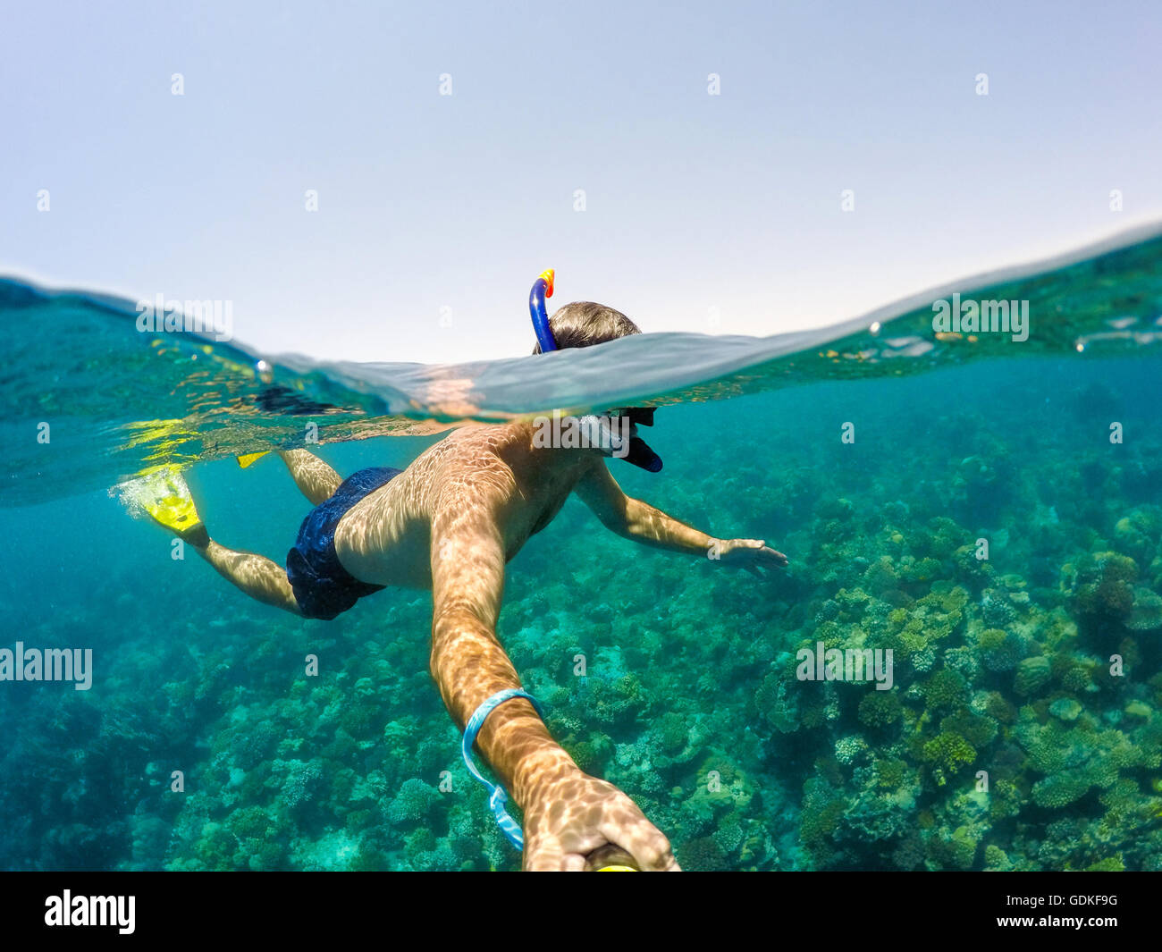 Underwater and surface split view in the tropics paradise with ...
