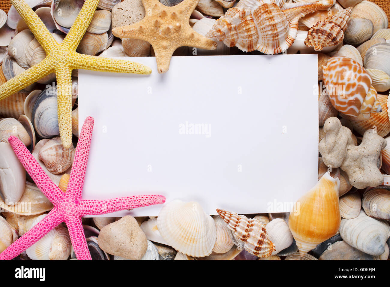 blank sheet of paper on sea Shell background Stock Photo - Alamy