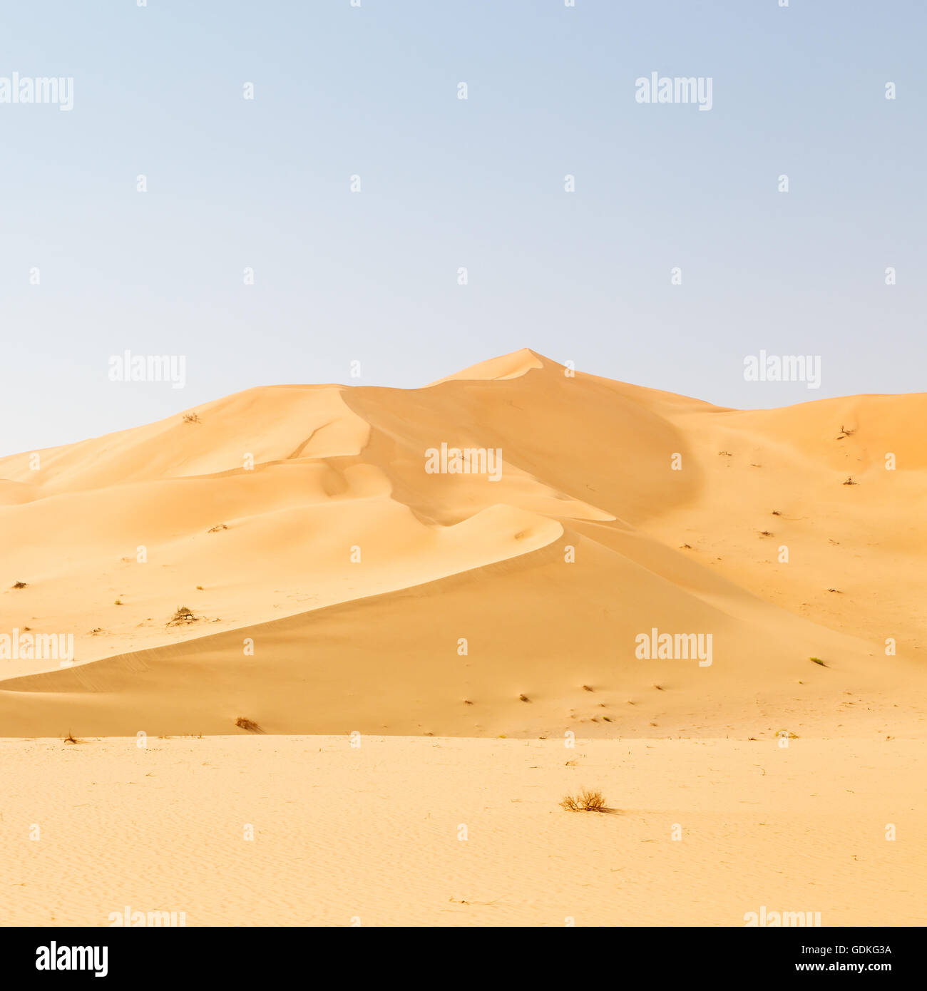 the empty quarter and outdoor sand dune in oman old desert rub al khali ...