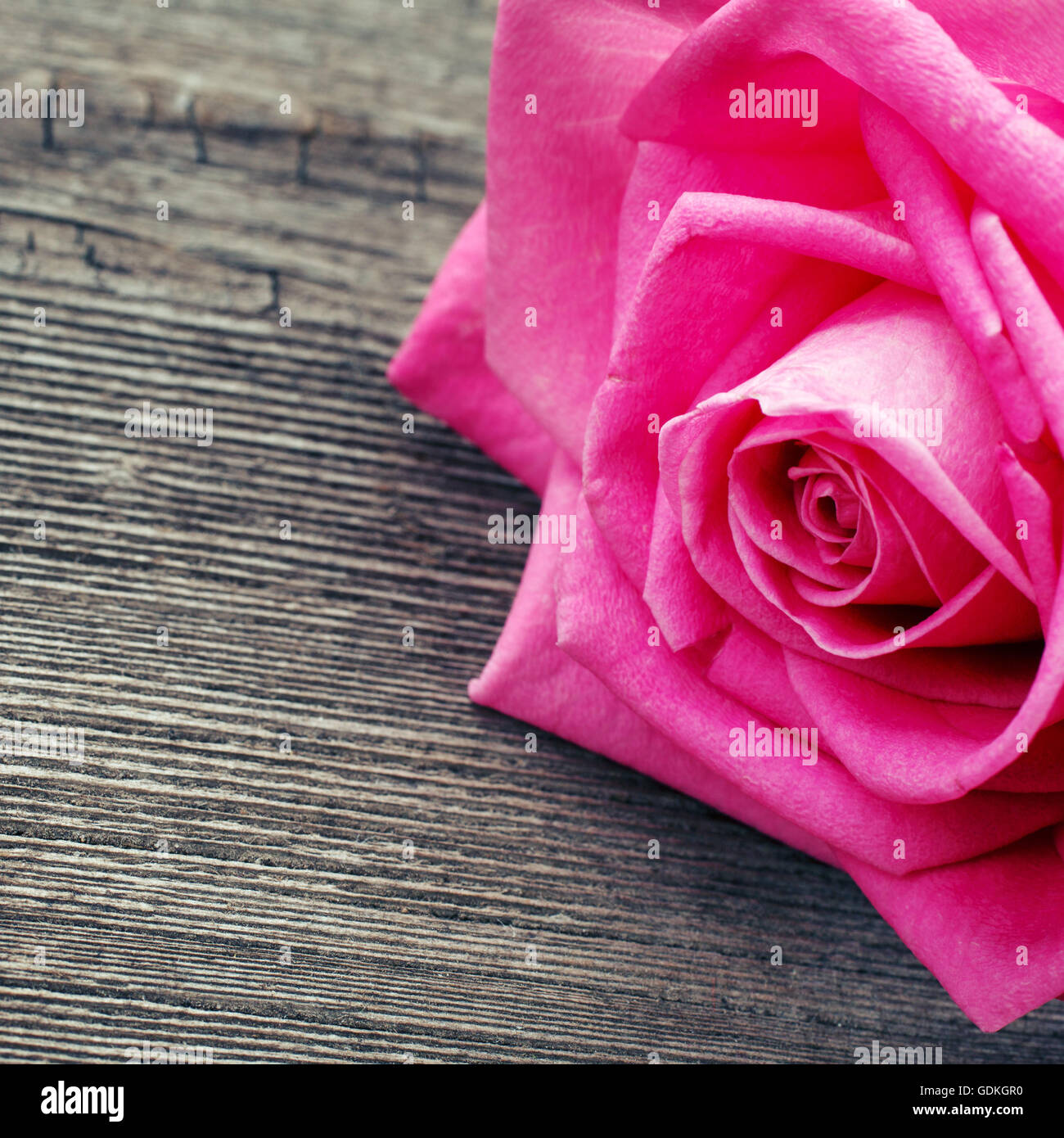 pink rose head on the wooden background Stock Photo - Alamy