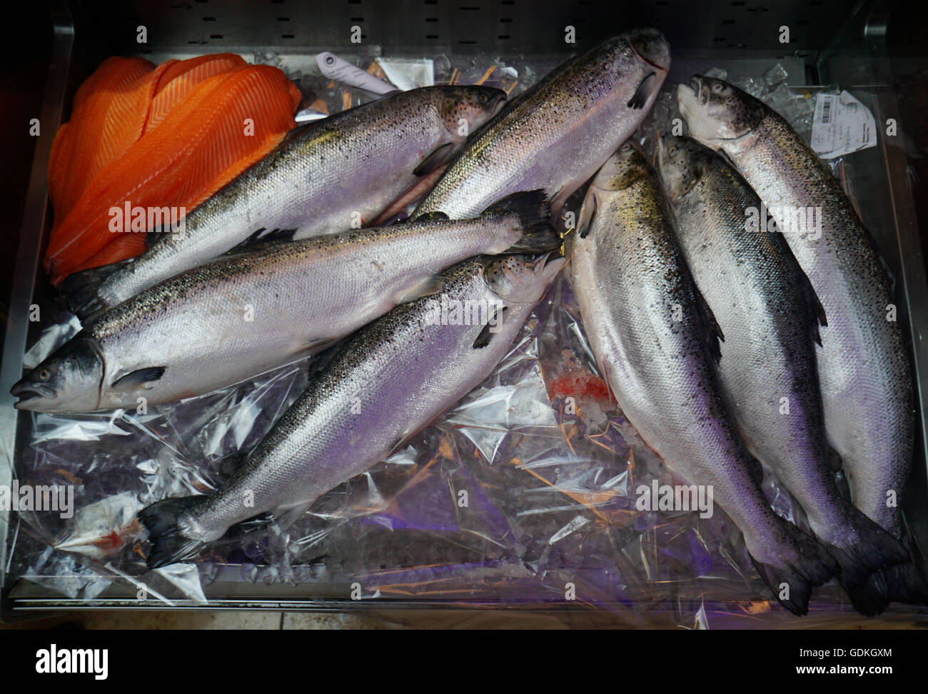 Fresh Scottish Salmon Stock Photo - Alamy