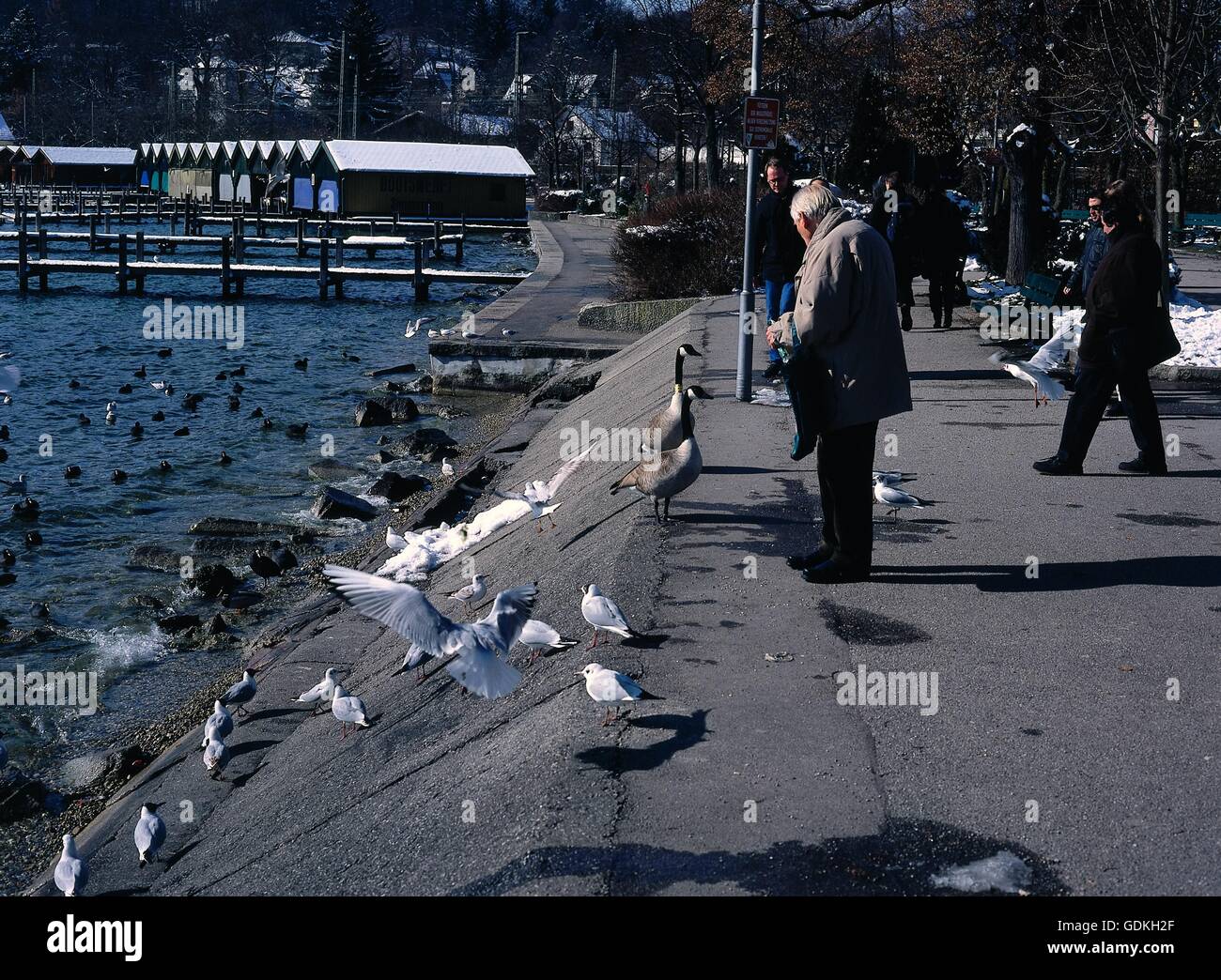 Starnberg lake promenade hi-res stock photography and images - Alamy