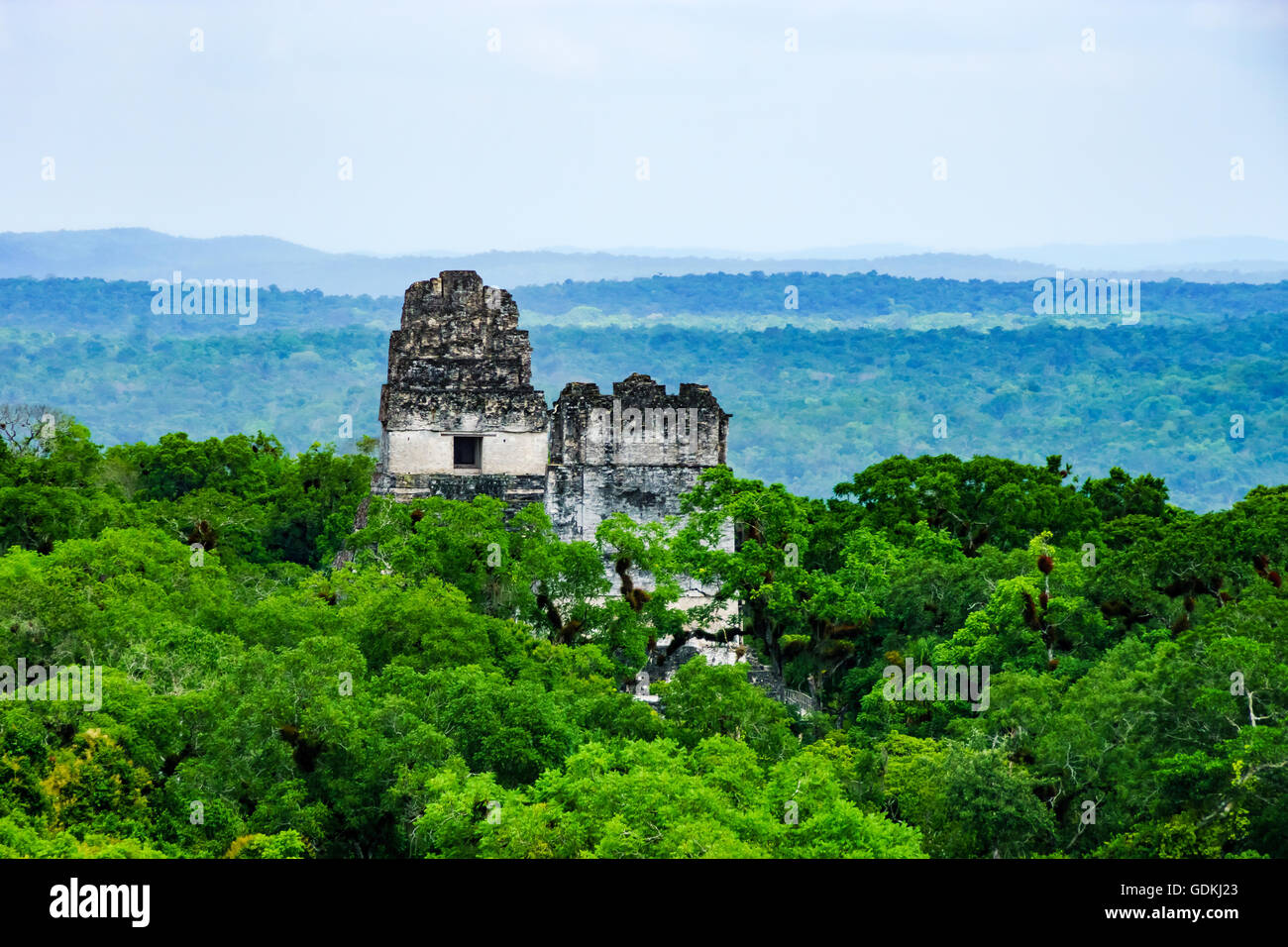 Ancient ruins of Tikal in Guatemala surrounded by forest Stock Photo ...