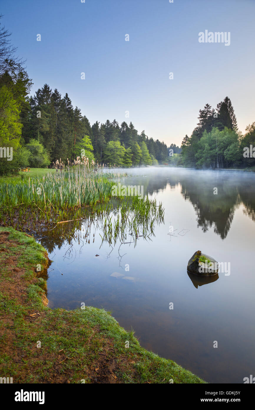 Mallards pike hi-res stock photography and images - Alamy