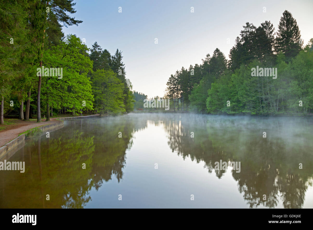 Mallards pike in forest dean hi-res stock photography and images - Alamy