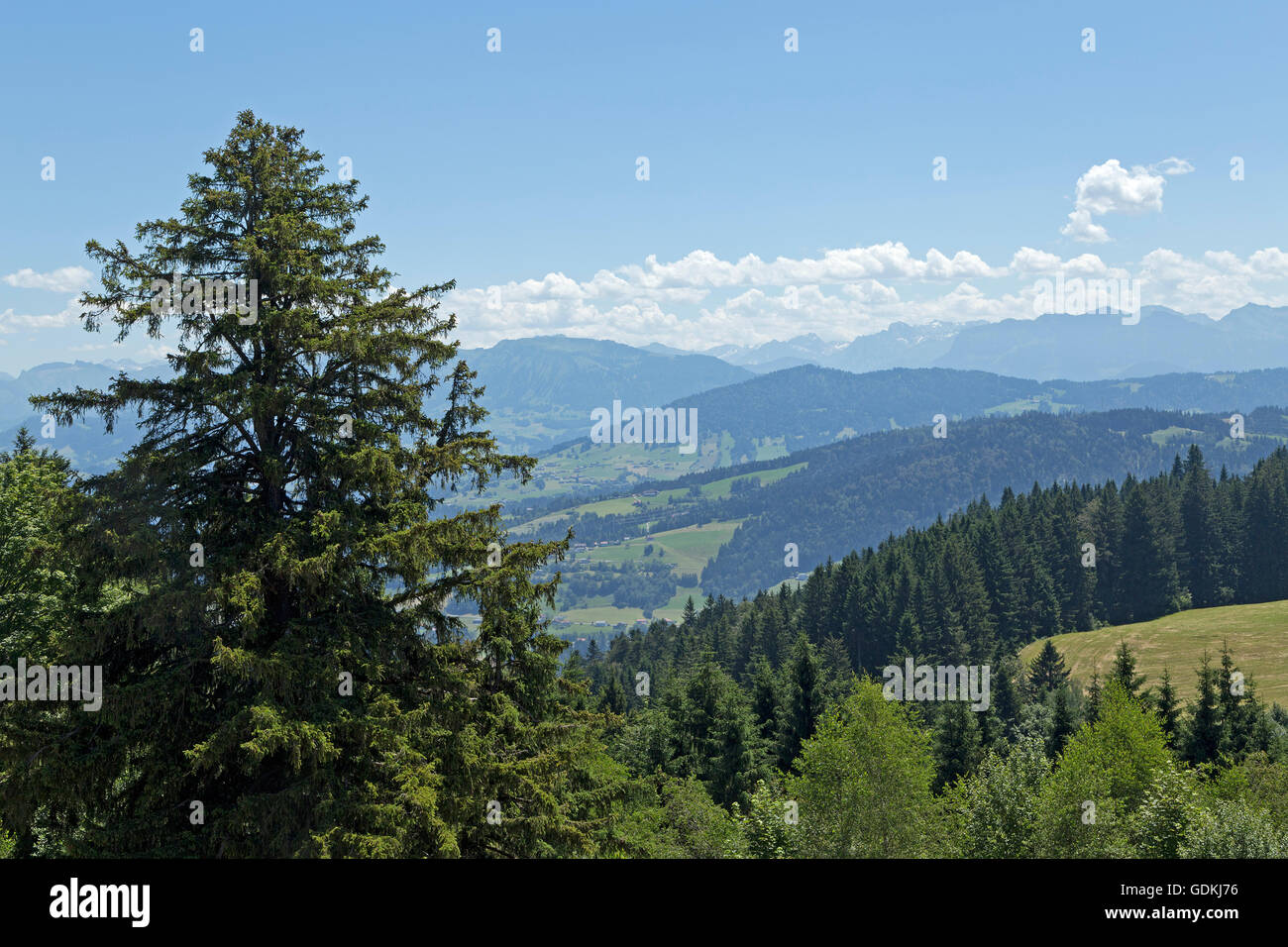 Lake constance from pfaender mountain hi-res stock photography and ...