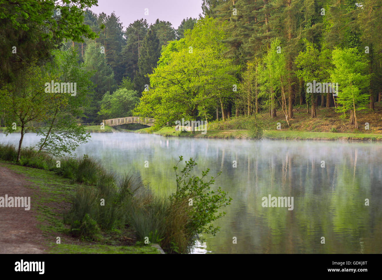 Mallards pike in forest dean hi-res stock photography and images - Alamy