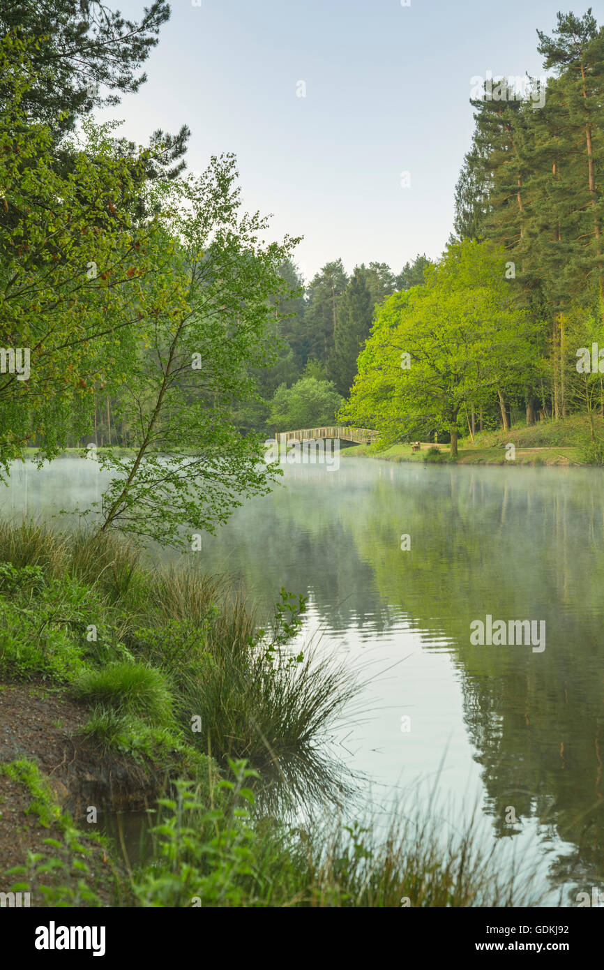 Mallards pike in forest dean hi-res stock photography and images - Alamy