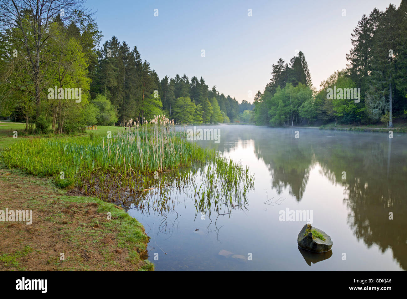 Mallards pike hi-res stock photography and images - Alamy