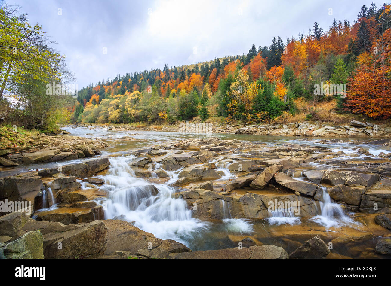 beautiful fast mountain river in autumn forest Stock Photo - Alamy