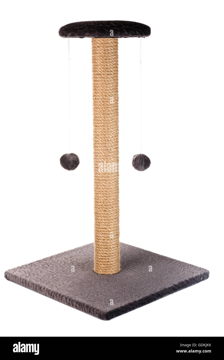Cat scratching post on a white background Stock Photo - Alamy