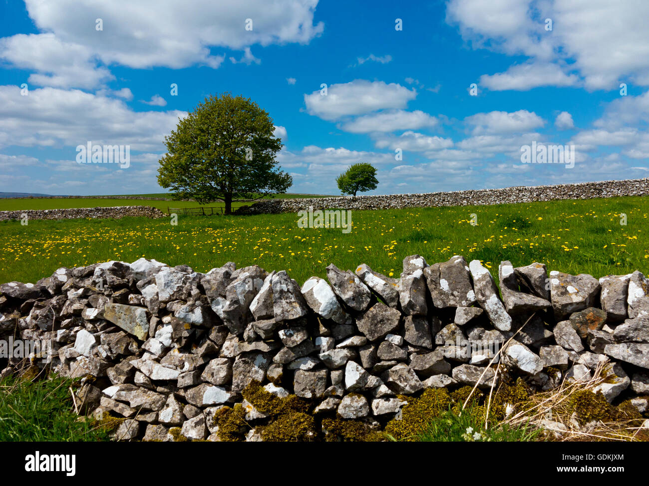 Typical White Peak District National Park landscape with trees and ...
