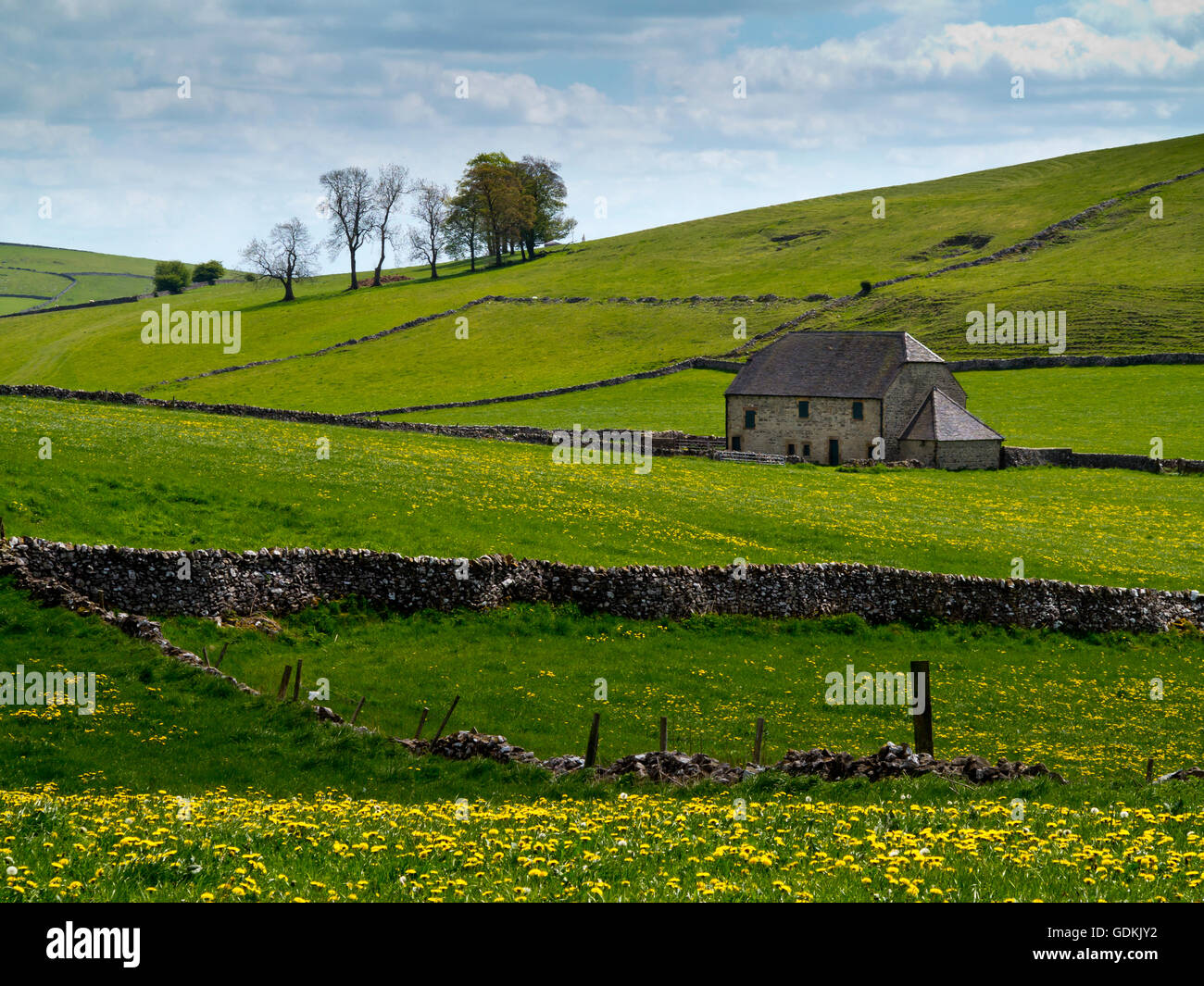 Typical White Peak District National Park landscape with trees barn and ...