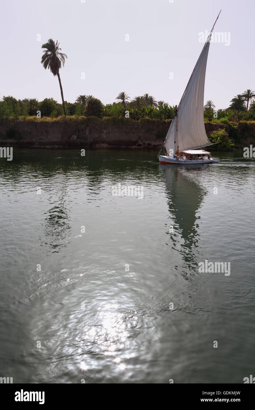 Traditional Felucca sailing boat on the River Nile near Aswan, Egypt ...