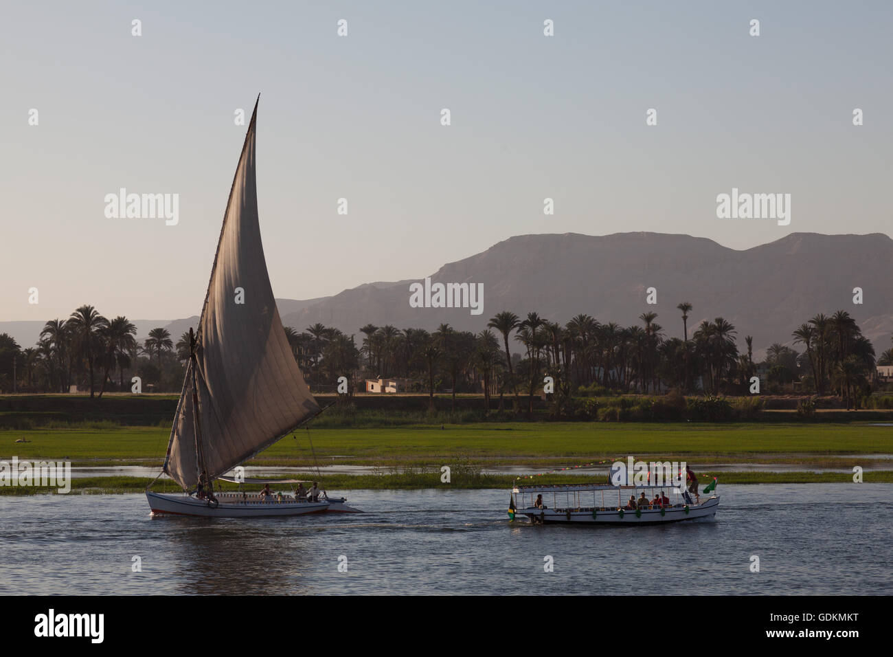A traditional Felucca sailing past a small ferry boat on the River Nile ...