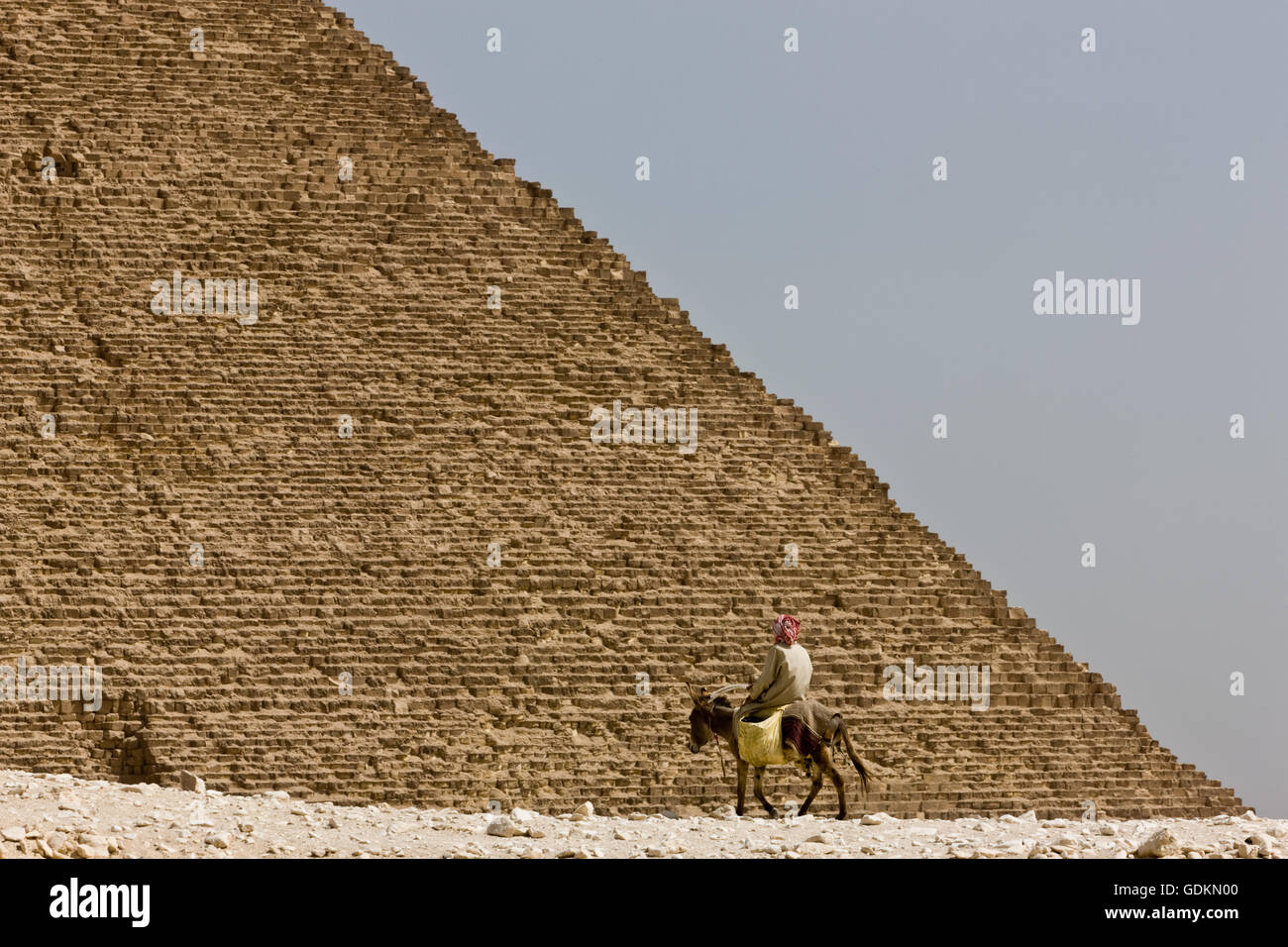 Donkey pyramid giza egypt hi-res stock photography and images - Alamy