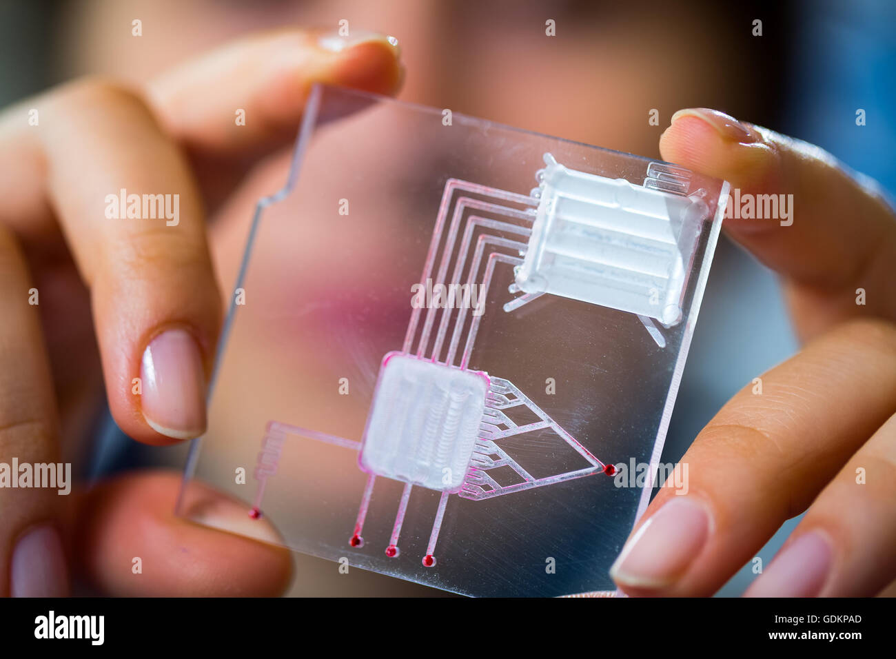 Lab On A Chip Advantages at Timothy Gordon blog