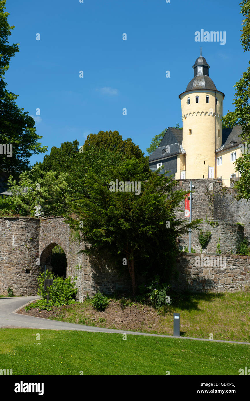 Homburg Castle High Resolution Stock Photography and Images - Alamy