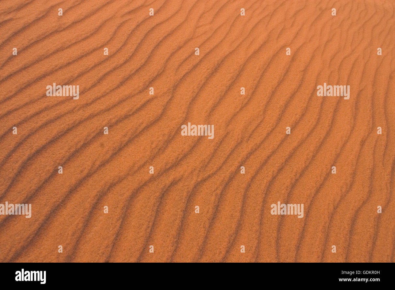 Desert sand, Dubai, UAE Stock Photo - Alamy