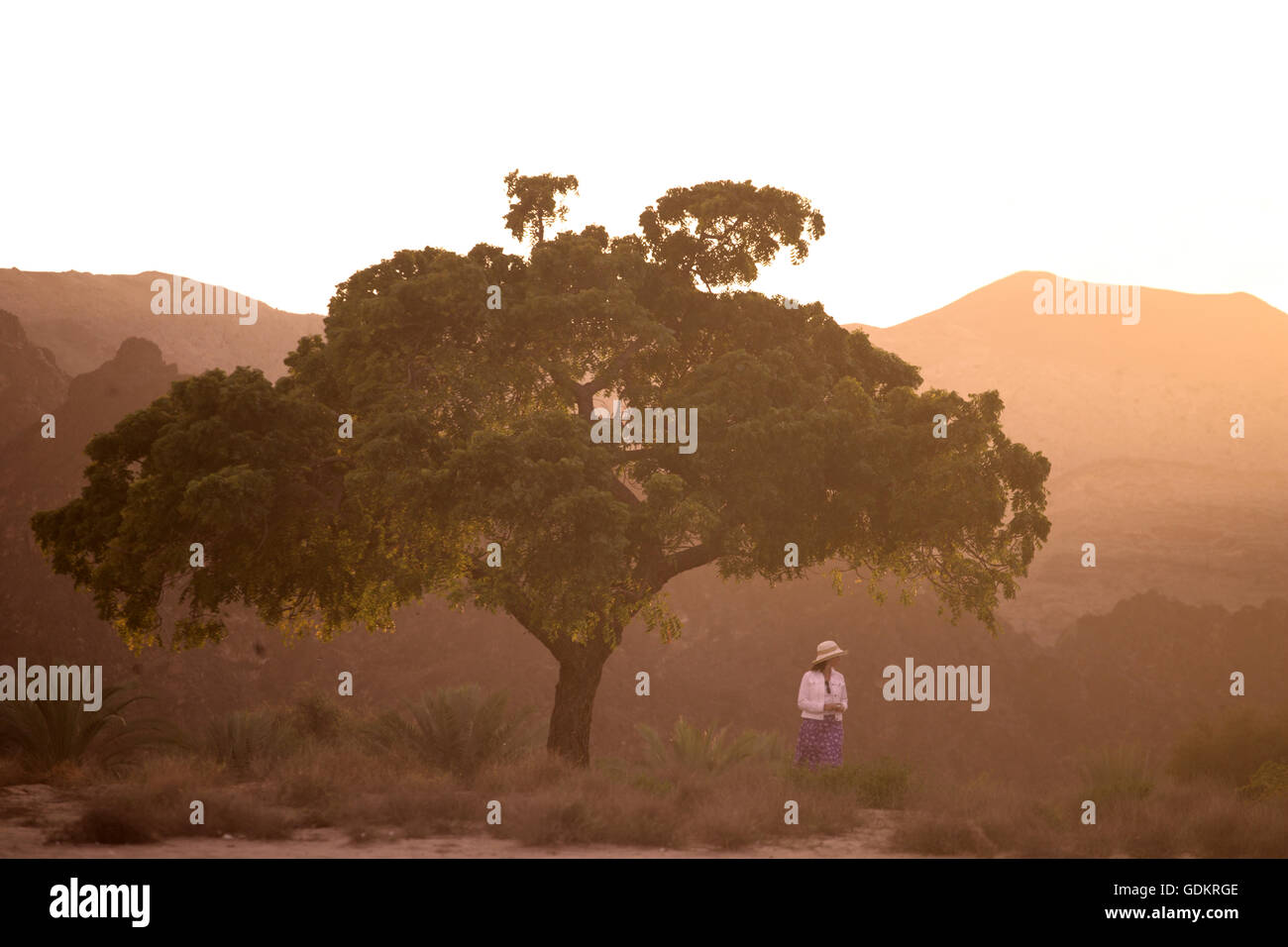 Under the shade of a tree, Oman Stock Photo - Alamy
