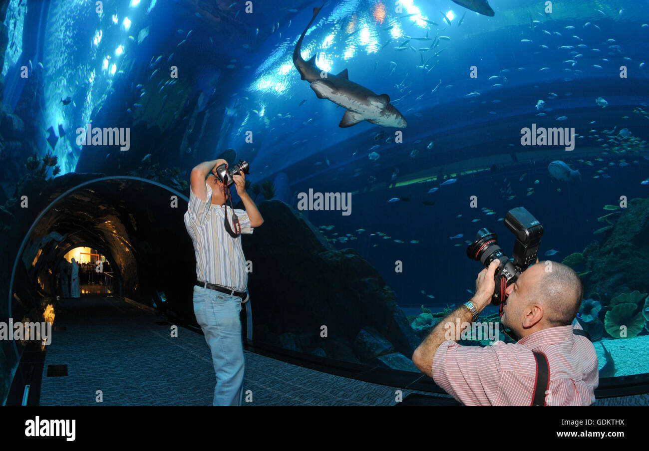 Photographers take photos of the marine life at the aquarium, Dubai ...