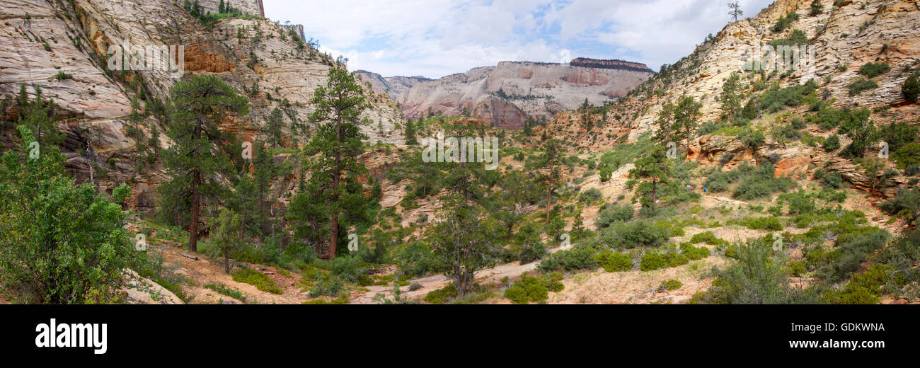 Winding trail through desert hi-res stock photography and images - Alamy