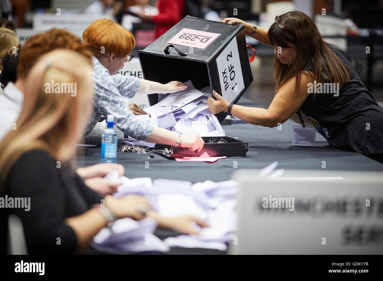 Voting count council workers counting papers for the EU referendum ...