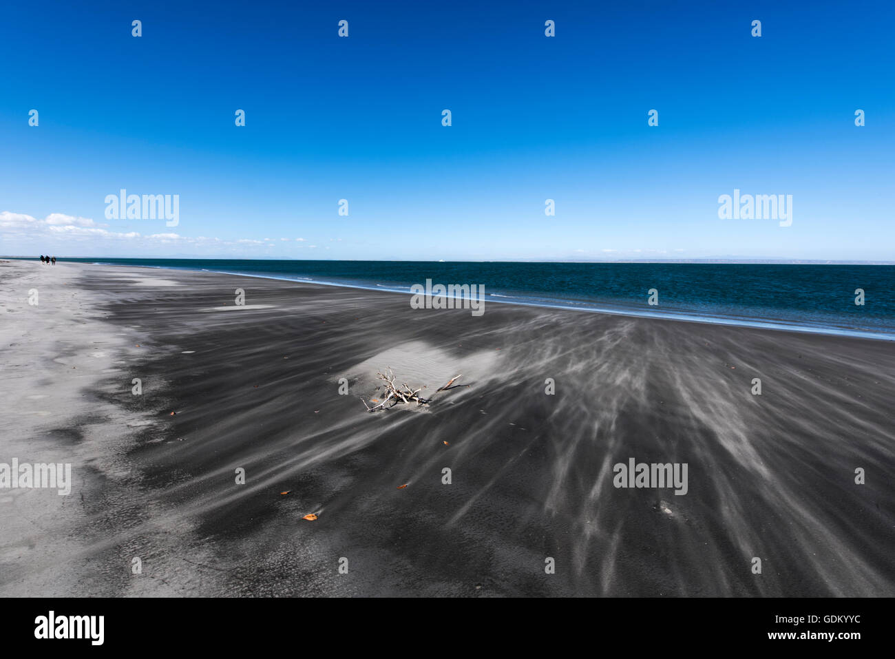 Beach San Ignacio Lagoon, Baja California, Mexico Stock Photo - Alamy