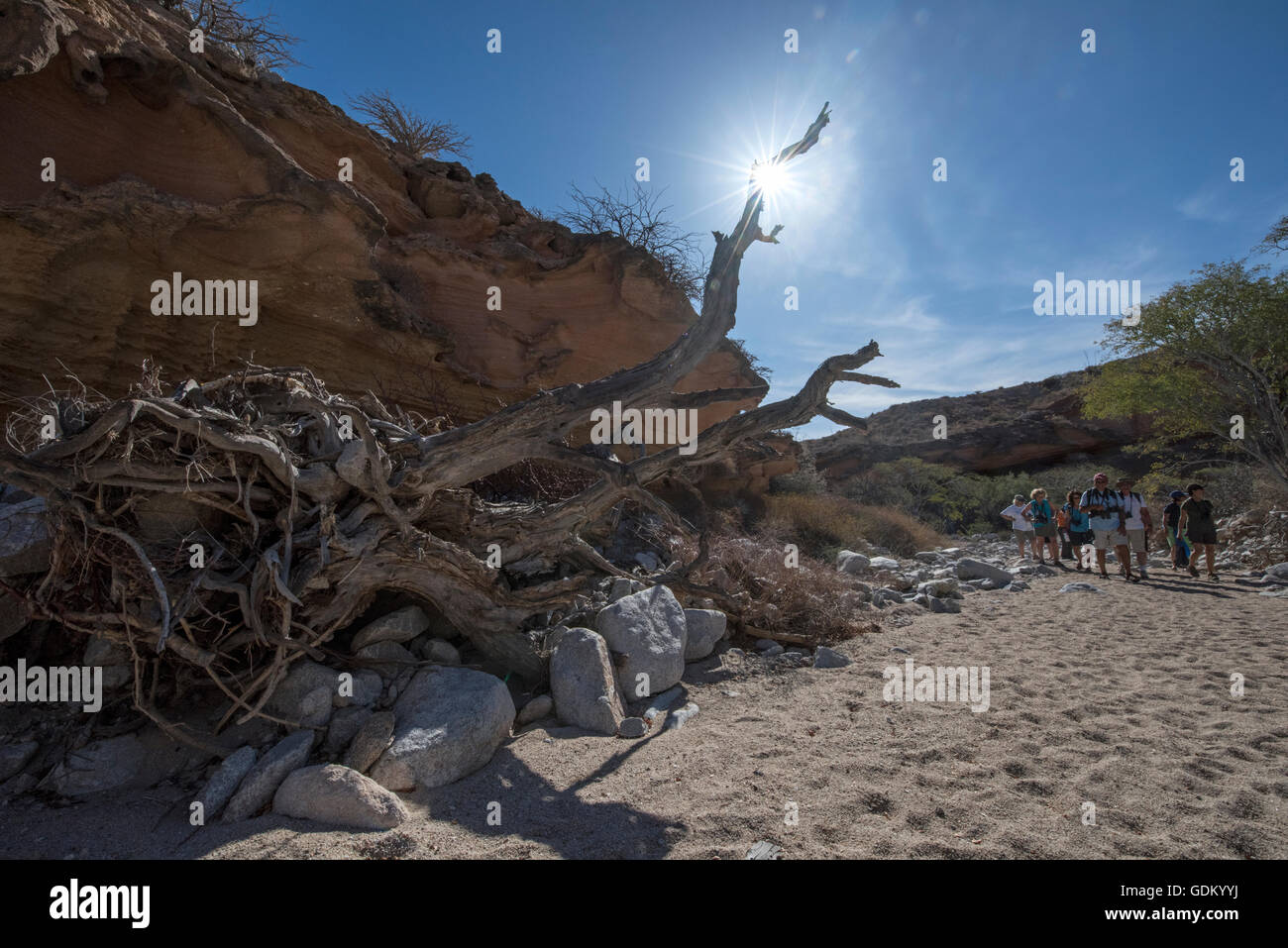 People hiking in Santa Catalina, Baja California, Mexico Stock Photo ...