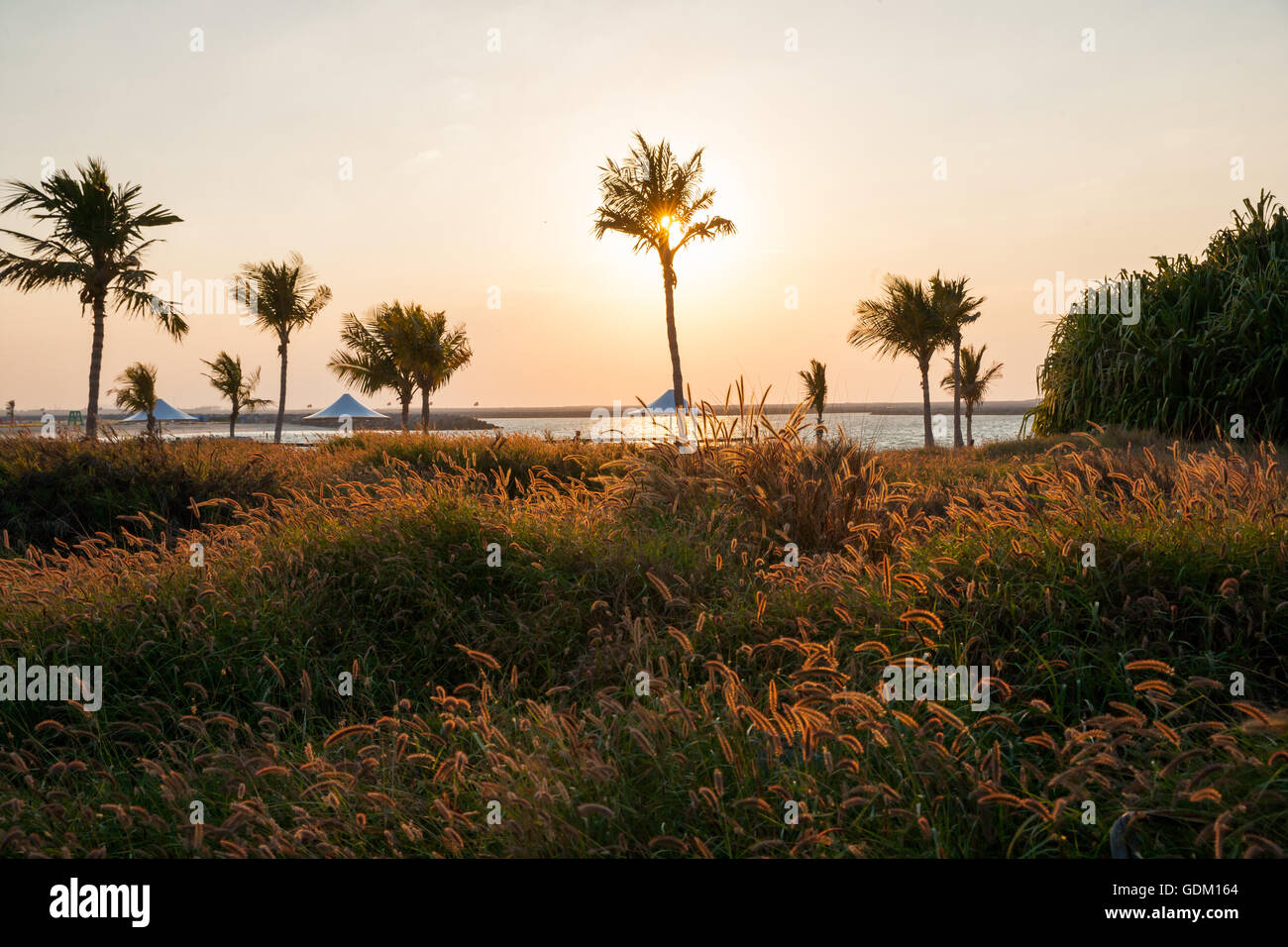 Sunset at Mamzar Beach Park, Dubai, UAE Stock Photo - Alamy