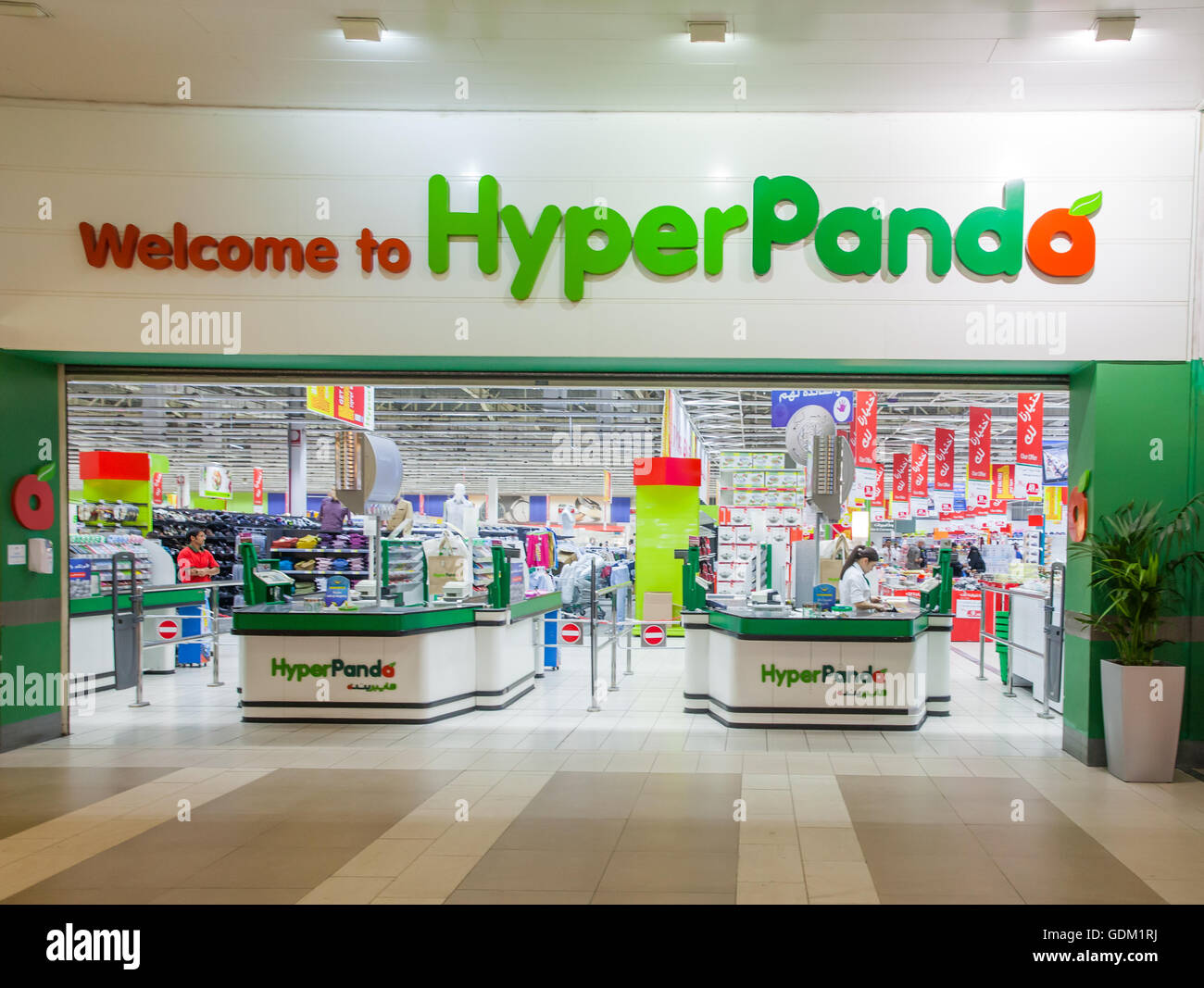 Hyper panda hi-res stock photography and images - Alamy