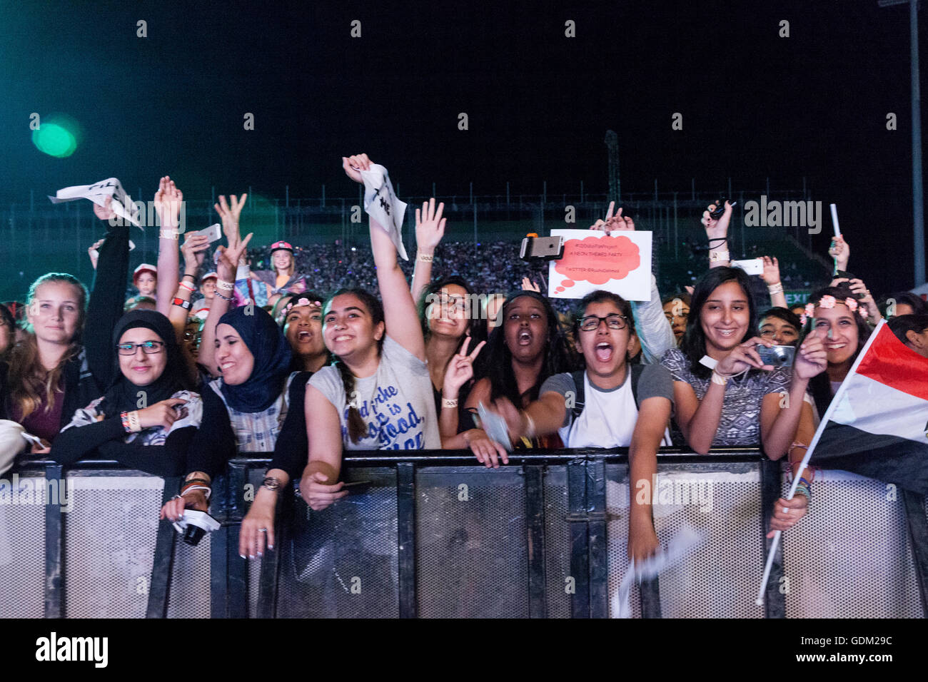 One Direction Concert Crowd