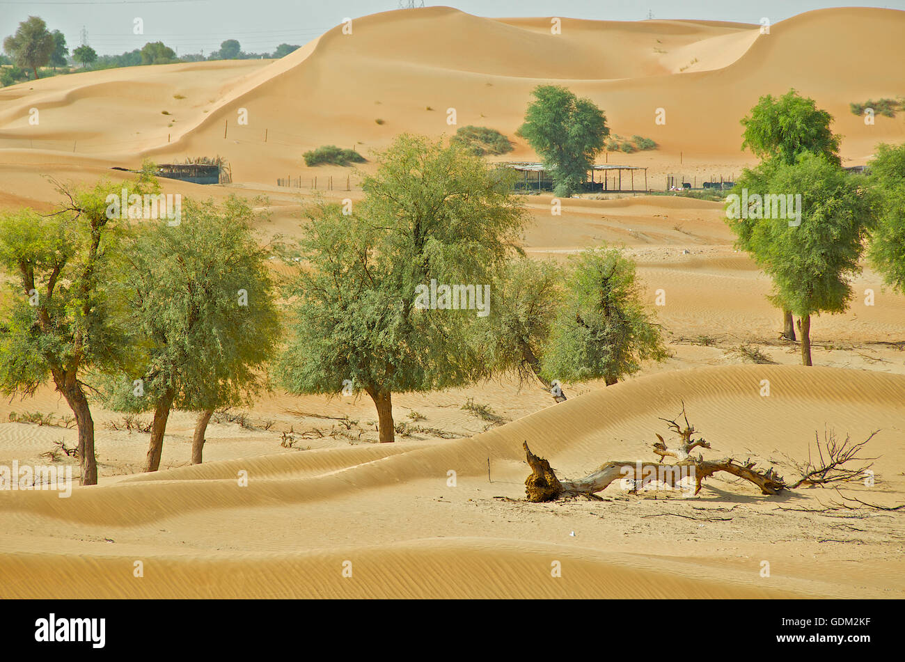 Sandy desert view Stock Photo - Alamy
