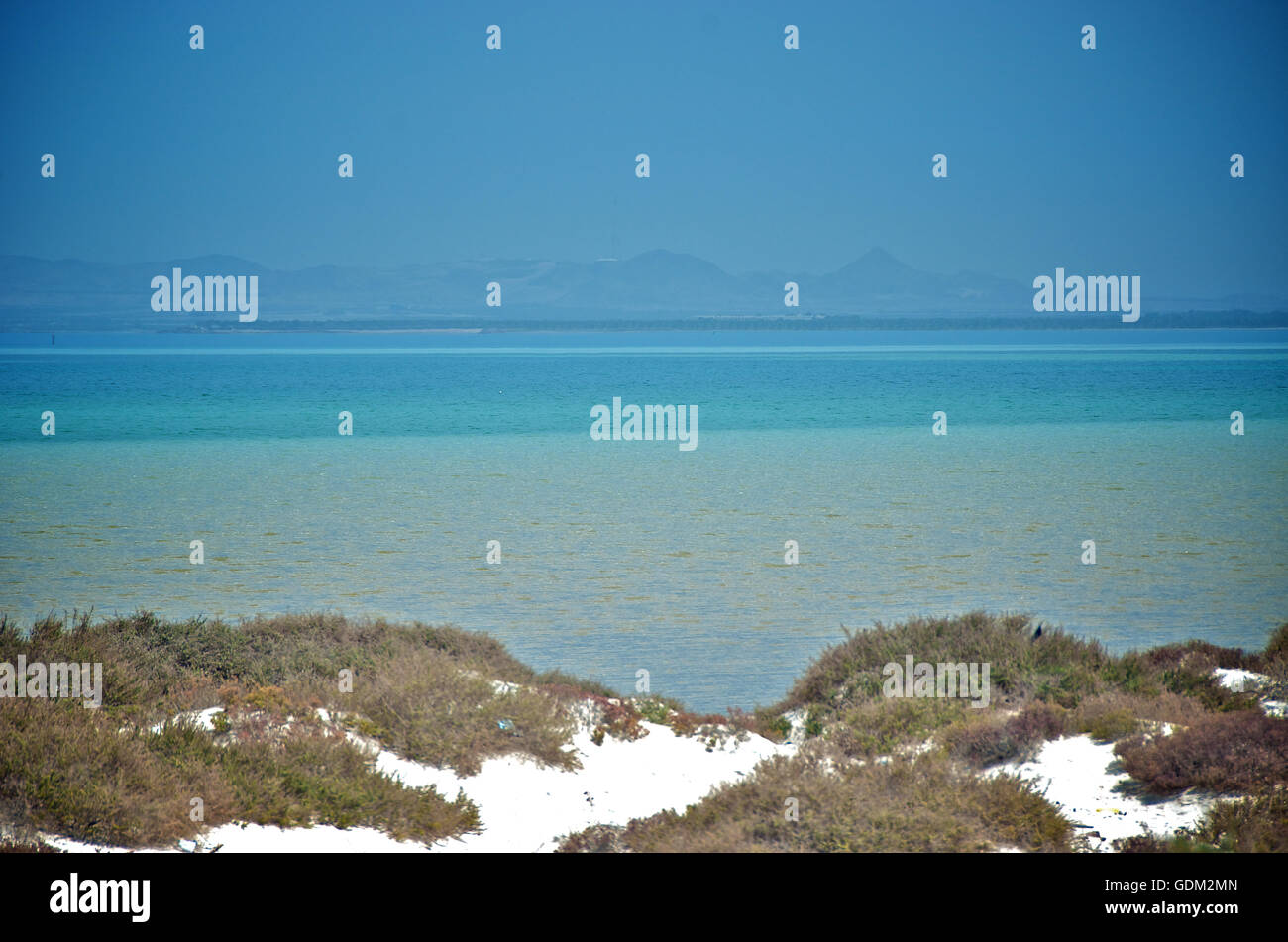 White sand with bushes giving onto the Arabian Gulf Stock Photo - Alamy