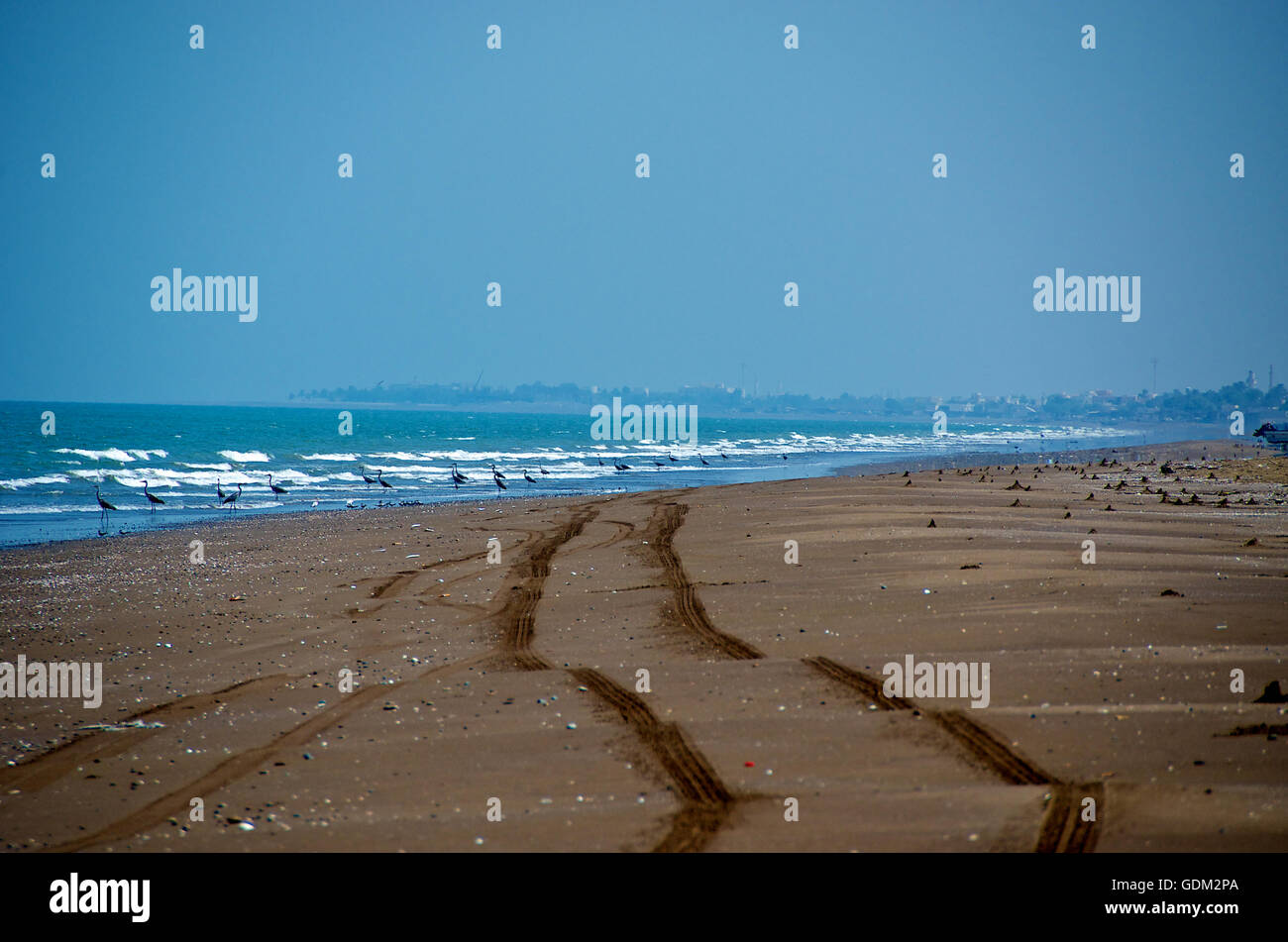 Car tyre tracks along the beach Stock Photo - Alamy