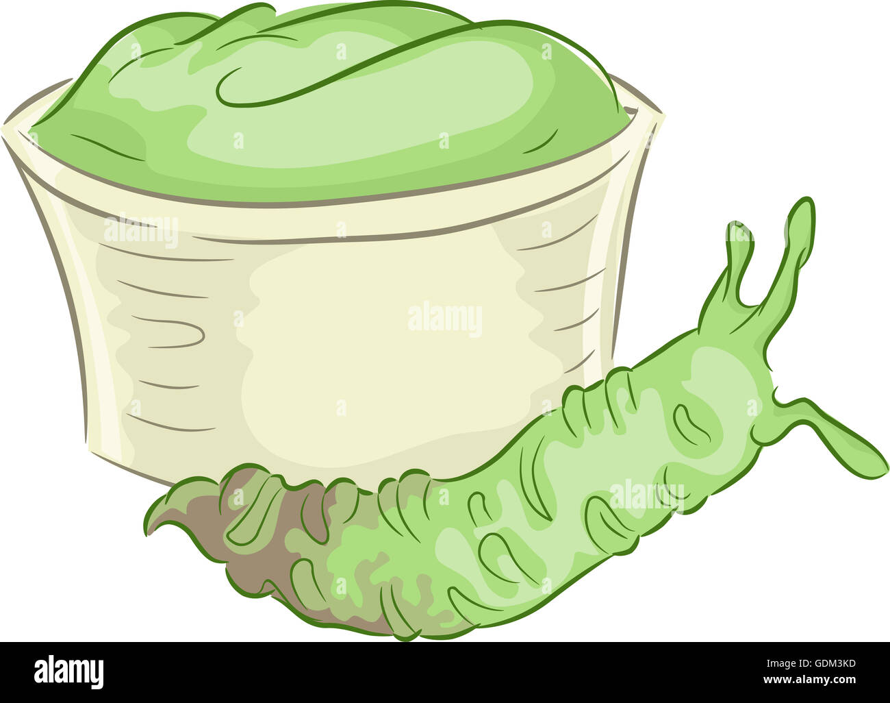 Illustration of a Wasabi Stem Lying Beside a Cup of Wasabi Paste Stock ...